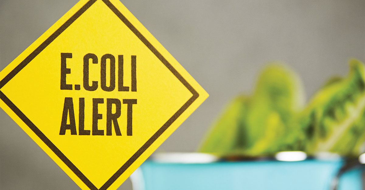 Biggest E. Coli Risk Is in the Restroom Rather Than the Kitchen
